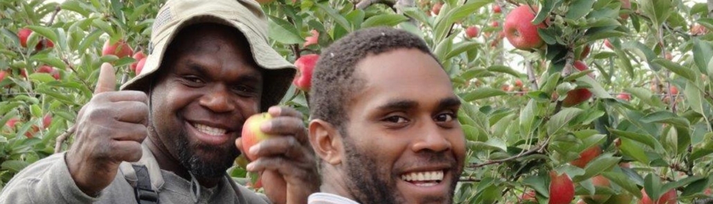 Recognised Seasonal Employer (RSE) - PickNZ